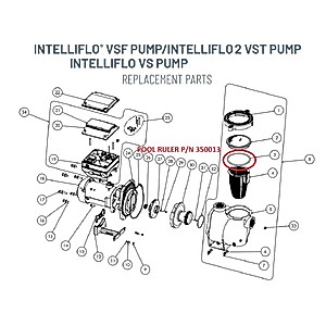 Pool Ruler 350013 Pentair Pump Lid O-Ring 2 Pack + Lubricant - IntelliFlo, WhisperFlo, More