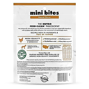 NUTRO Mini Bites Dog Treats Peanut Flavor, 8 oz. Bag