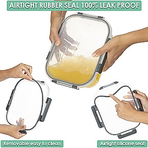 FOOD BOUTIQUE - 10 Cups Large Glass Food Storage Container with Lid set