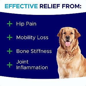 GOODGROWLIES Mobility Glucosamine Treats for Dogs - Advanced Hip & Joint Supplement w/Omega-3, Chondroitin, MSM - Made in USA - Joint Pain Relief - Hip & Joint Care - 120ct