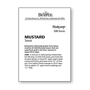 Burpee Tatsoi (Heirloom) Mustard Seeds 500 seeds