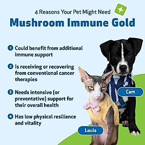Pet Wellbeing More Mushrooms Kit for Dogs - Immune System Support and Antioxidant Protection - Vet-Formulated with Turkey Tail, Reishi, Maitake, Astragalus