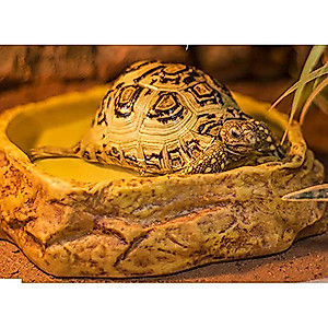 Reptile Water Dish,Resin Reptile Rock Food Feeder Bowl, Water and Food Bowl,Terrarium Decor for Leopard Gecko, Lizard,Spider,Turtle,Scorpion, Chameleon,Hermit Crabs (M, Yellow)