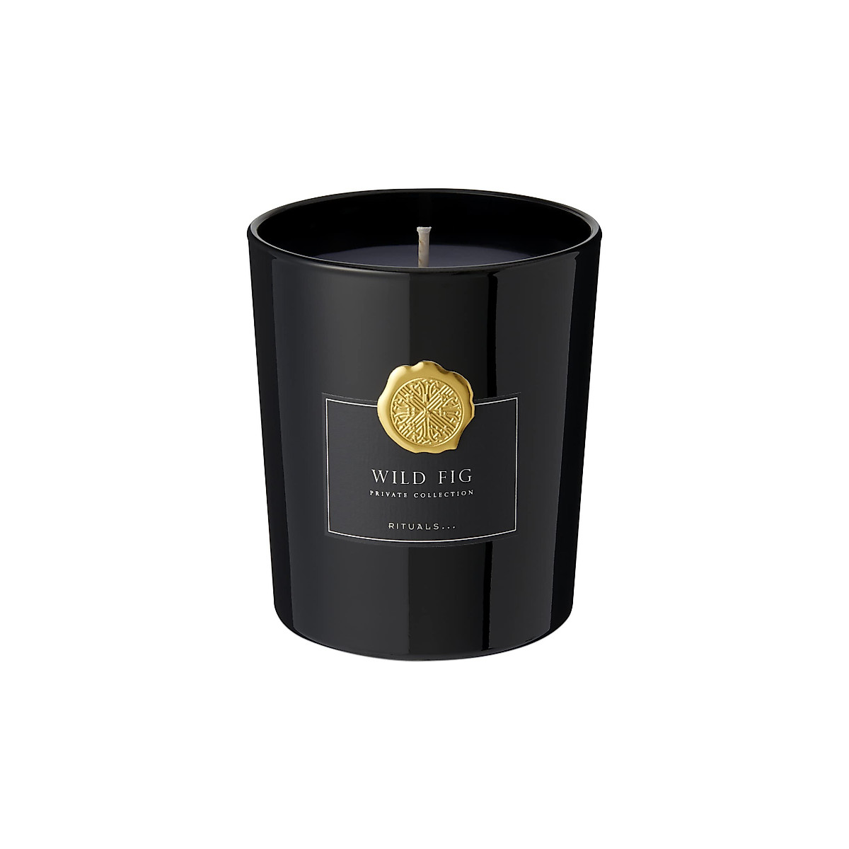 RITUALS Wild Fig Luxury Home Decor Scented Candle - Aromatherapy Candle with Italian Fig, Chinese Orris, Clove & Sandalwood - 12.6 Oz