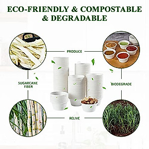 Vplus 500 Pack 2 OZ Disposable Souffle Cups, 100% Compostable Portion Cups, Food Sample Cups Made From Bagasse Fibe, Perfect For Dips, Jams, Honey, Sauces, Nuts