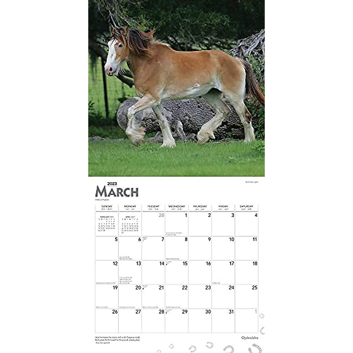 Clydesdales | 2023 12 x 24 Inch Monthly Square Wall Calendar | BrownTrout | Animals Horses