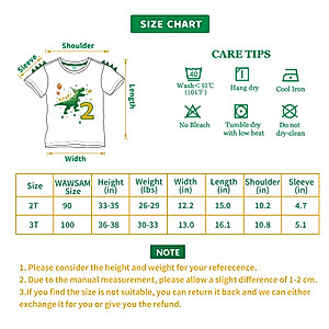 WAWSAM 2nd Birthday Boy Shirt Dinosaur Birthday T-Shirt 2 Year Old Toddler Dinosaur Outfit Cotton White Dino Party Shirt