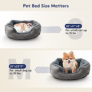 FURTIME Small Dog Beds for Small Dogs, Washable Dog Bed Orthopedic Rectangle Puppy Pet Bed, Durable Calming Dog Sofa Bed Soft Sleeping with Anti-Slip Bottom S (20"x19"x6")