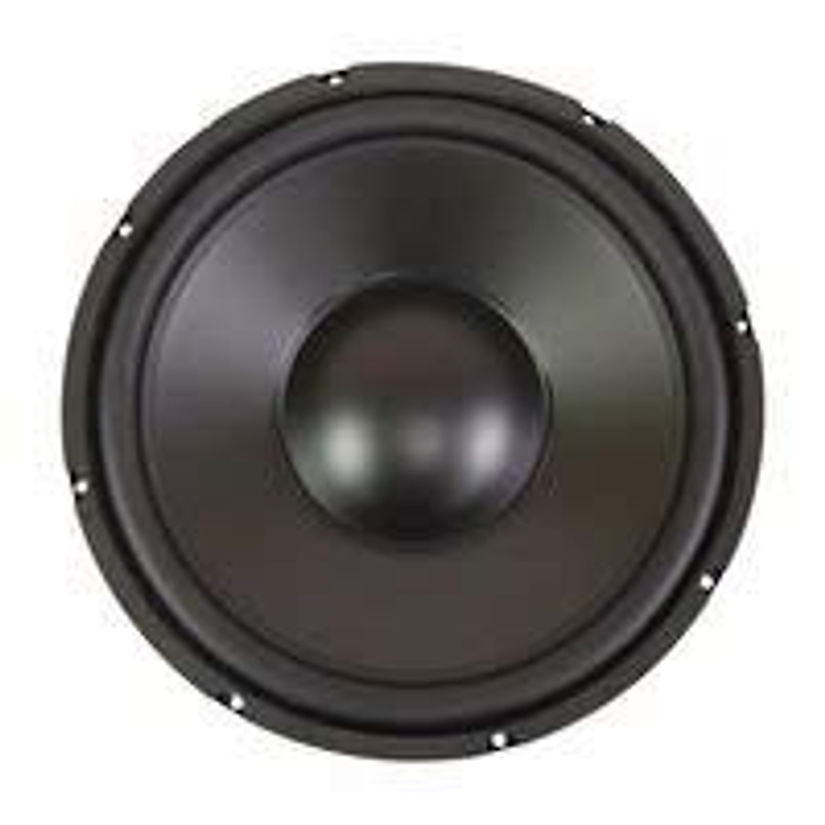 55-5725 - 12" Poly Cone Woofer with Rubber Surround