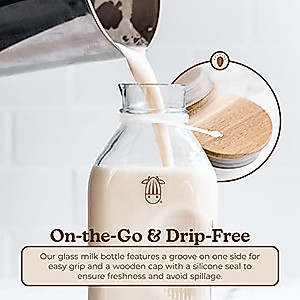 Almond Cow - Glass Pitcher with Lid and Spout, Bottle for Refrigerator, Clear Milk Jug , Food-Grade Glass Liquid Container, 60 fl oz Capacity, 5 x 4 x 10 Inches