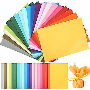 Naler 200 Sheets 20 Colors Art Tissue Paper Bulk for Gift Bags Gift Wrapping Tissue Paper for Crafts Decorative Tissue Paper Flower Pom Pom, 8"X11"