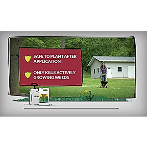 Compare-N-Save 75325 Herbicide, 2.5-gallon, white