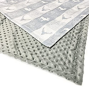 Baby Blankets for Boys & Girls, Soft Minky Blanket 30x40 | 2-Pack of Large Baby Blankets Unisex | for Travel, Nursery, Stroller, Swaddle or Receiving Blankets (Woodland)