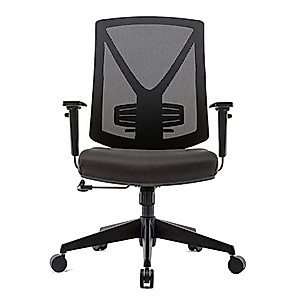 CLATINA Home Office Chair Ergonomic Desk Chair Mid Back Task Chair Mesh Computer Chair with Adjustable Armrest Adjustable Lumbar Support Executive Rolling Swivel Chair for Men Women Adults