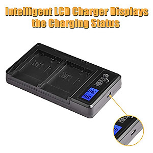 Pickle Power DMW-BCK7 Battery, 2 Pack 1200mAh DMW-BCK7E DMW-BCK7PP Battery and LCD Dual USB Charger Replacement for Panasonic Lumix DMC-S5 DMC-FP5 DMC-FP7 DMC-FH2 DMC-FH5 FH24 FH25 FH27 FS16 FS18