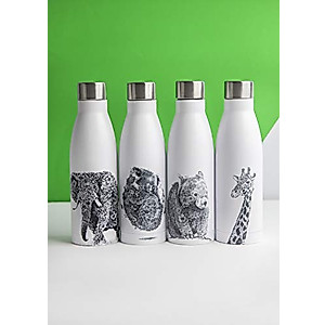 Maxwell & Williams Marini Ferlazzo Insulated Water Bottle with Koala and Friends Design, Double Wall Stainless Steel, White, 500 ml