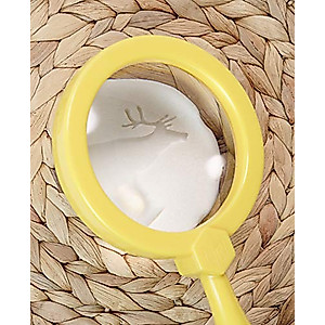 Yellow Door Let's Investigate Polar Footprints, Set of 8