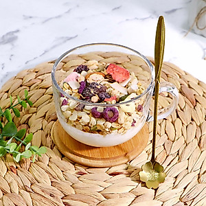 MDLUU 16oz Coffee Mugs with Handle, Glass Cups with Bamboo Lids & Cherry Blossom Spoons, Clear Drinking Glasses for Tea, Cereal, Yogurt, Set of 2