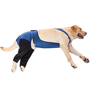 Coodeo Dog Recovery Suit, Cone Collar Alternative, Abrasion Resistant Dog Recovery Rear Sleeves, Washable 2.5mm Thick and Waterproof, Pet Wounds Prevent Licking, Biting (2XL, Blue)
