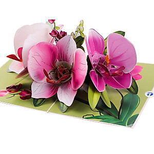 TRUANCE Pop Up Orchid Flower Mother Day Card- 3D Cards For Birthday, Anniversary, Thank You Cards, Card for Mom, Congratulation Card, Love Card, All Occasion