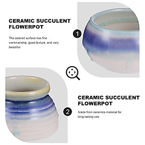 Cabilock 5pcs Ceramic Succulent Flower Pot Flower Vase Mini Garden Pot Container Decorative Flower Pot Small Flower Pot Resin Pot Succulent Flower Pots Succulent Pots Makeup Ceramics Rural