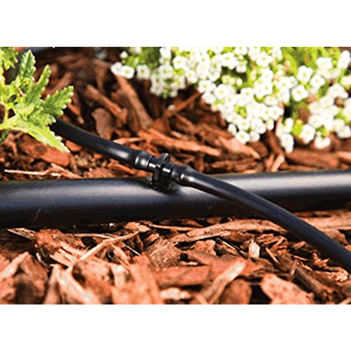 Gardener's Poly Tubing (1/2"-inch) .600 ID x .700 OD - Irrigation, Hydroponics, Growing - Water Distribution Tube (100 Foot Roll)