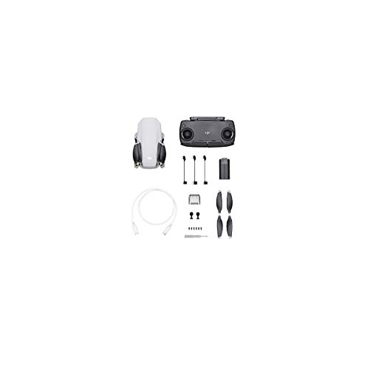 DJI Mavic Mini Drone FlyCam Quadcopter with 2.7K Camera 3-Axis Gimbal GPS 30min Flight Time (Renewed)