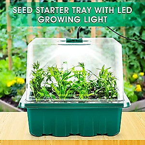 Seed Starter Tray, 6PCS Seed Starter Kit with Grow Light, Seedling Trays with Humidity Domes, Covers Height 3.9", Indoor Gardening Plant Germination Trays (12 Cells per Tray)