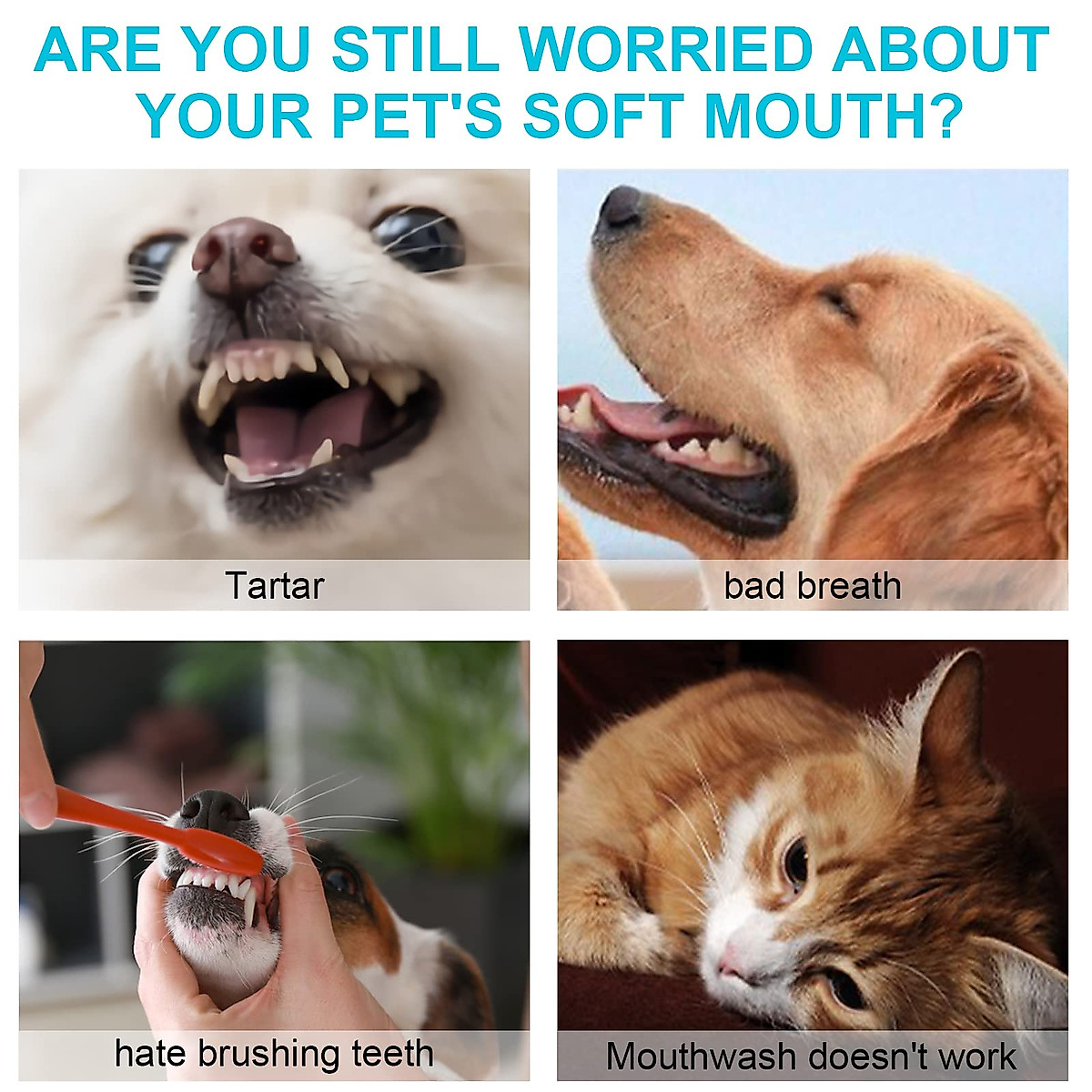 Dog Teeth Cleaning Wipes - Pet Dental Finger Wipes for Dogs, Pet Oral Cleansing Teeth Wipes for Dogs & Cats Tooth and Gums, Reduces Plaque, Freshens Breath and Pets Oral & Dental Care Wipes - 50 pc