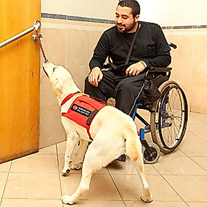 12 Pieces Dog Patches for Service Dog Vest Removable Tactical Hook Loop Harness Patch Set Service Dog Patch Embroidered in Training Patch Animal Working Dog Patch for Vest Harnesses Collars Leashes