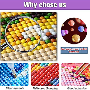 5D Butterfly Diamond Painting Kits for Adults-Stained Glass Butterfly Diamond Art Kits for Adults, Butterfly Gem Art Kits for Adults for Gift Home Wall Decor(14x14inch)