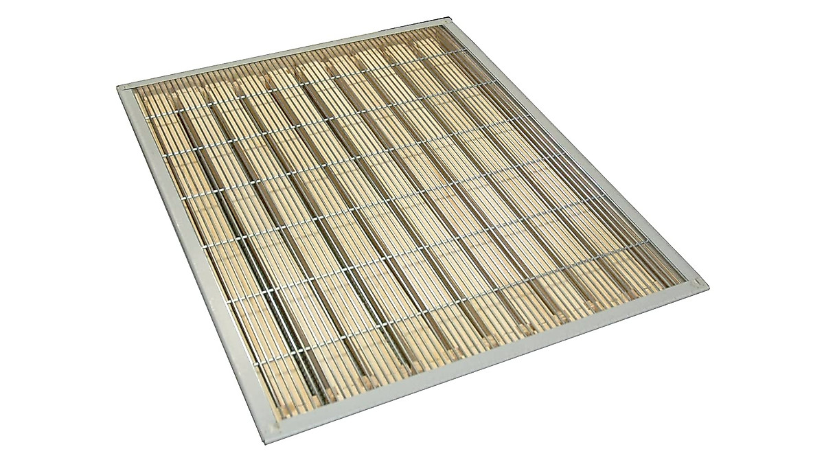 Durable BEEXTM Queen Excluder - 2-Pack for Beekeeping