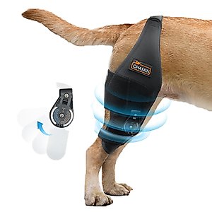 CHAMIN/RISURRY Dog Knee Brace with Adjustable Hinge Stabilizer, Dog ACL Knee Brace Support Osteoarthritis, Made with Premium Quality Neoprene(Right Leg,XL)