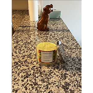 Huntington Home Vela perfumada Citro & Cilantro, 3 mechas 45/60