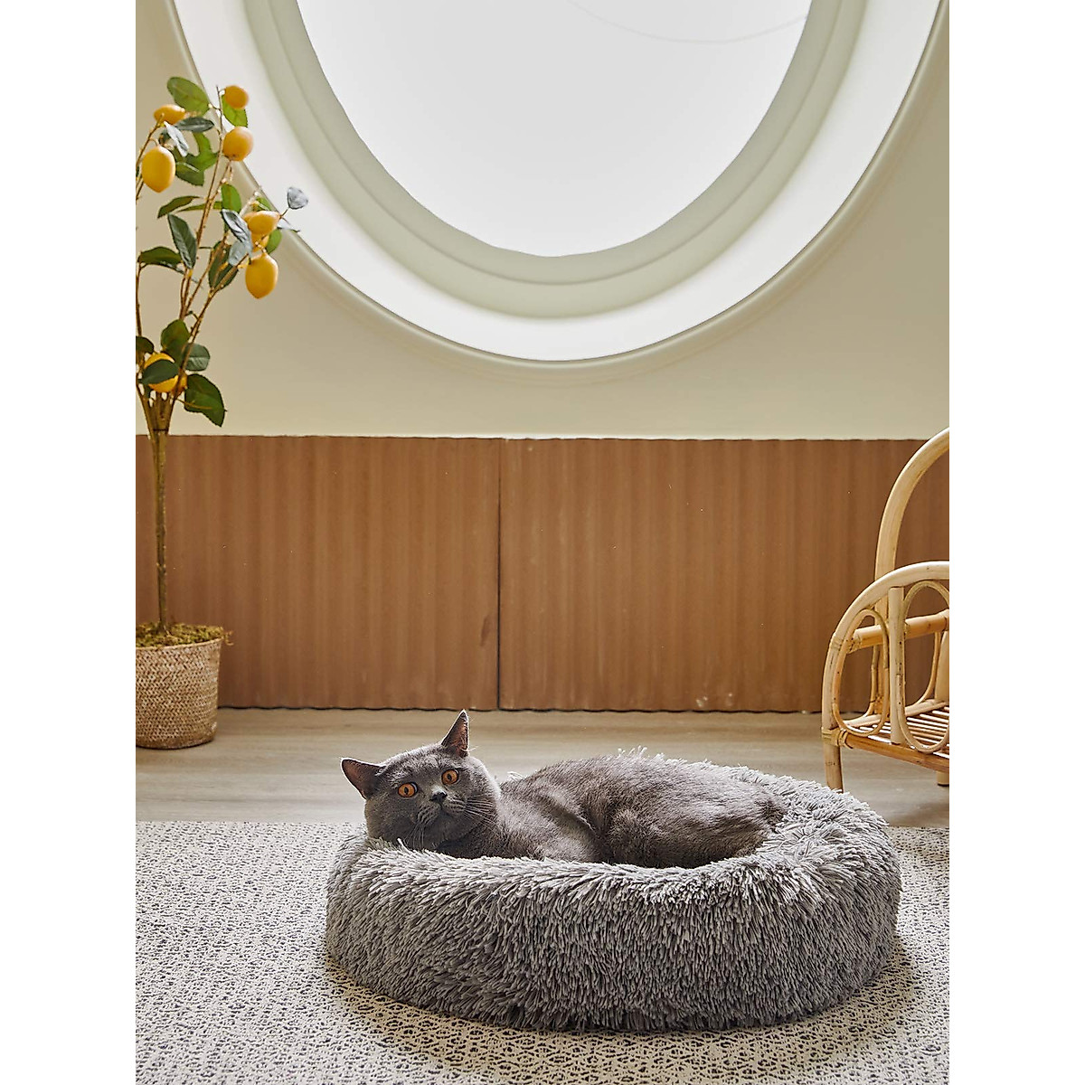 UOZZI BEDDING Plush Faux Fur Round Pet Cat Dog Bed, Comfortable Fuzzy Donut Cuddler Cushion Soft Shaggy and Warm for Winter 22" (Gray)