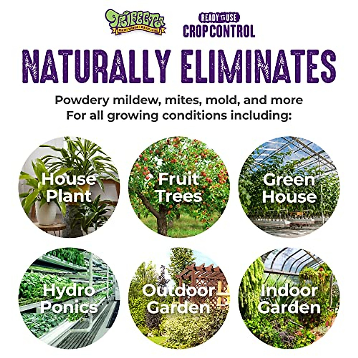 Trifecta Crop Control Ready to Use Maximum Strength Natural Pesticide, Fungicide, Miticide, Insecticide, Help Defeat Spider Mites, Powdery Mildew, Botrytis and Mold on Plants 32 OZ Size