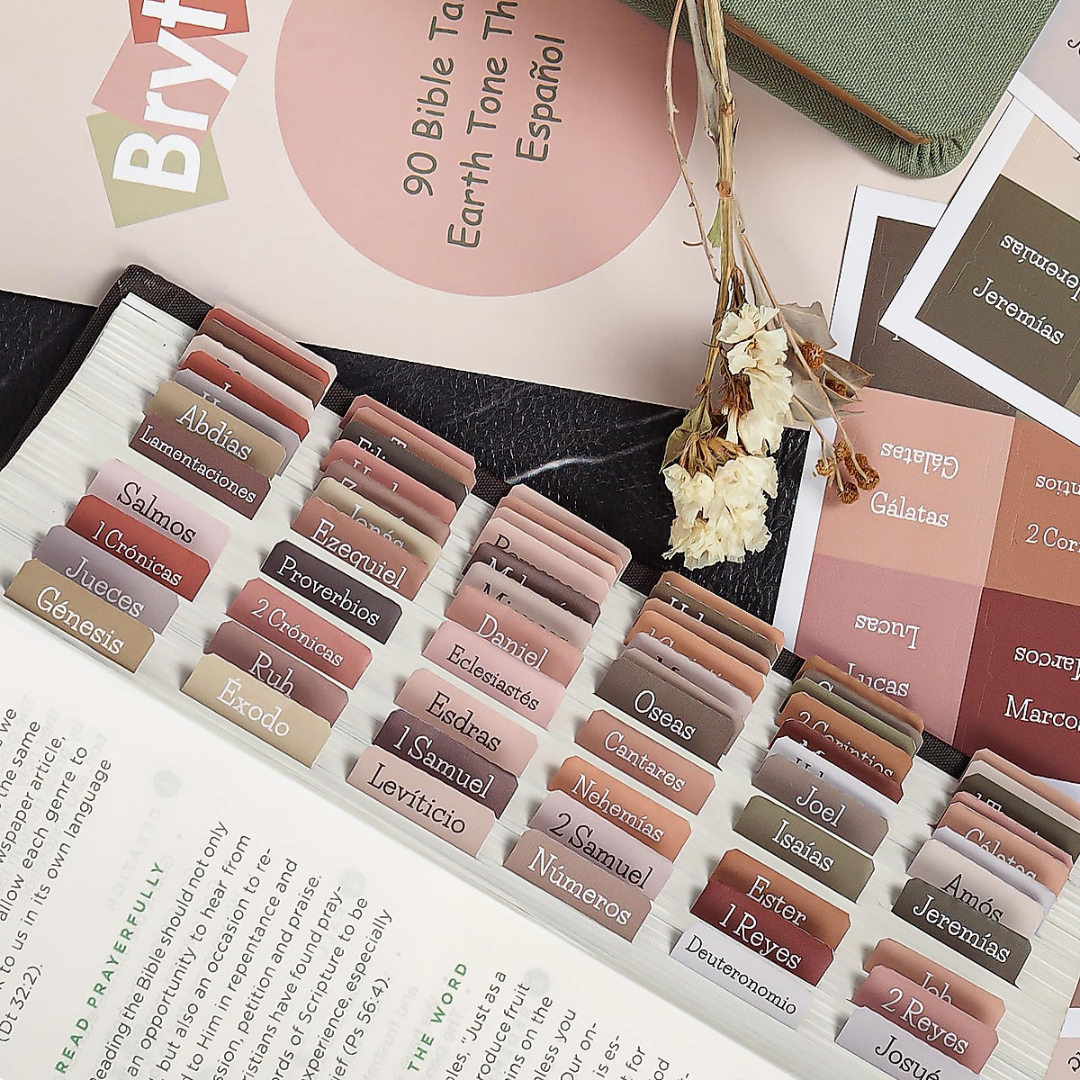 Spanish Earth Tone Bible tabs, Large Print Laminated Bible tabs for Women and Men, Easy to Read, Easy to Apply, Bible Journaling Tabs