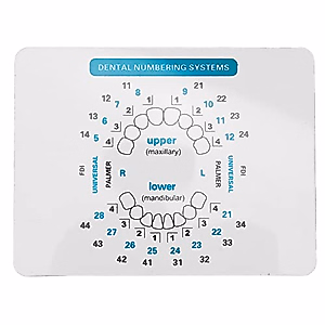 Dental Veneers Mould Set, 32pcs Different Shapes Heat Resistance Front Back Teeth Composite Resin Mold 2 Sizes