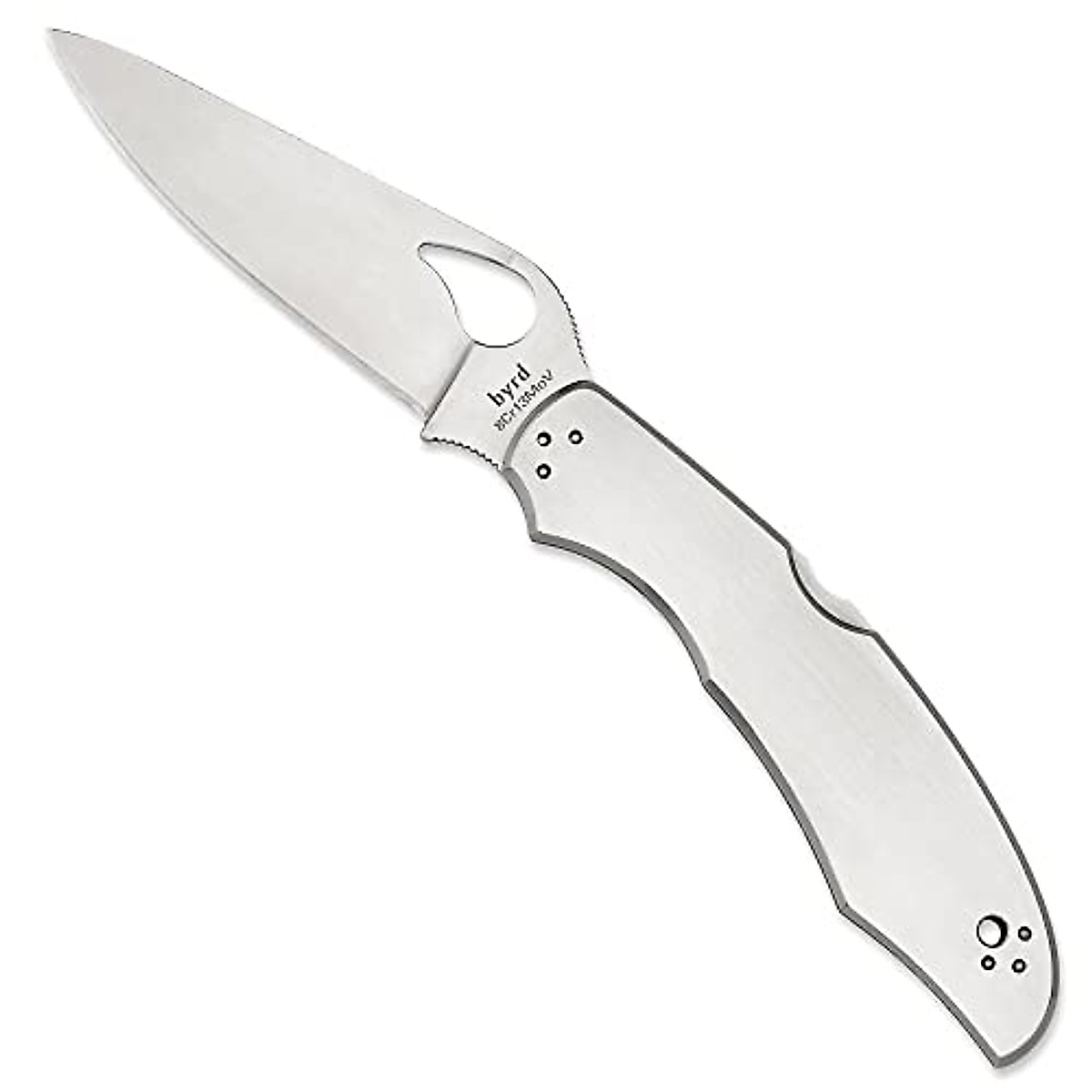 Spyderco Byrd Cara Cara 2 Knife with 3.75" Steel Blade and Durable Stainless Steel Handle - PlainEdge - BY03P2