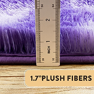 Fluffy Rug for Living Room,Furry Carpet for Teen,Shaggy Rug for Nursery Room, Tie-Dyed Purple Fuzzy Plush Rug for Dorm, Rectangle Shag Rug 2x3 Feet
