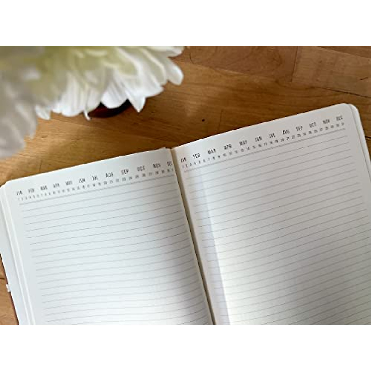 DesignWorks Ink COWPRINT - JUMBO VELVET JOURNAL