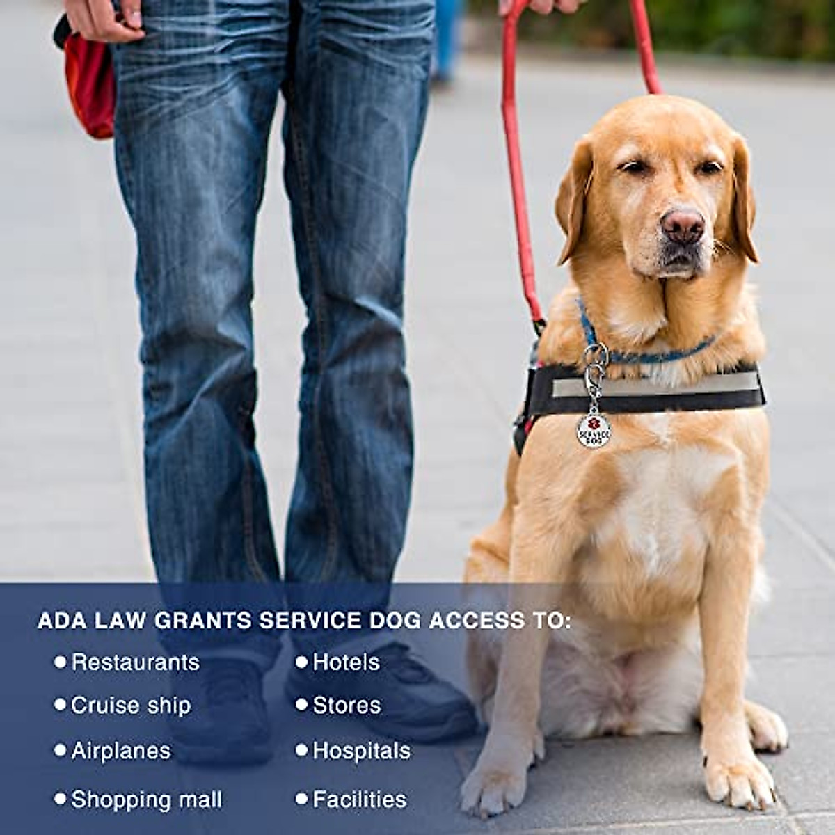 Leash King 1.25" Double-Sided Service Dog Tag with 1.3" Solid Quick Clip– Easily Attach to Collar, Harness, Vest – Entirely Surgical Stainless Steel – PVD Rose Gold