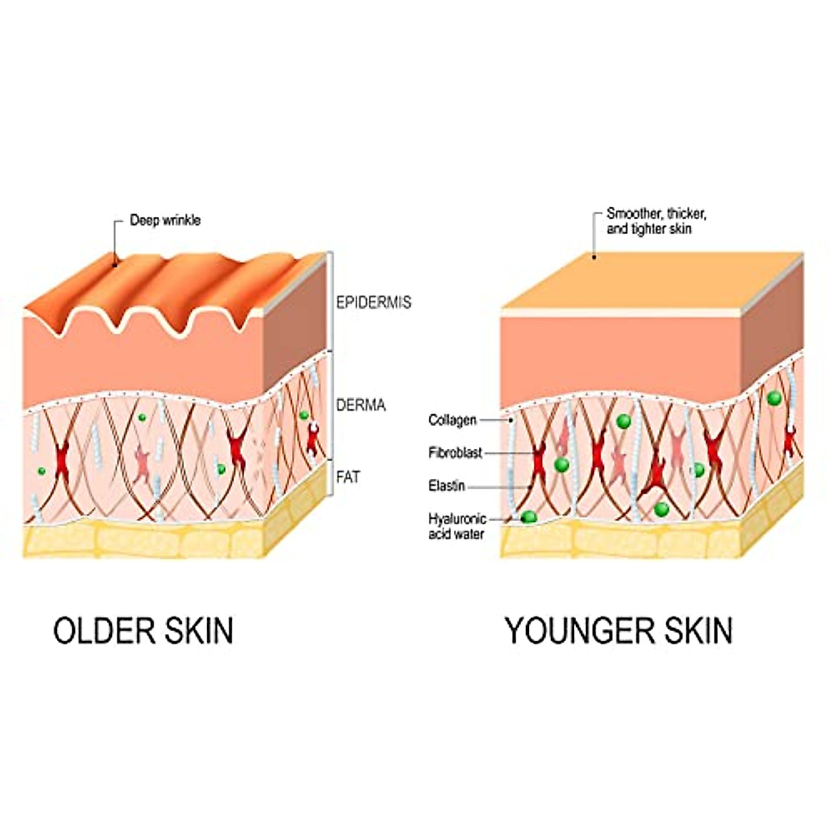 Advanced Deep Anti-Wrinkle Serum, Advanced Deep Anti-wrinkle Serum, Anti-Aging Daily Serum, Hyaluronic Acid Face Serum Anti Aging Wrinkle ,Hydrating & Brightening Serum for All Skin Types (2PC)