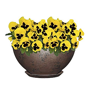 Classic Home and Garden 3/806LR/1 Premiere Collection Planter, Abigail 15", Lava Red