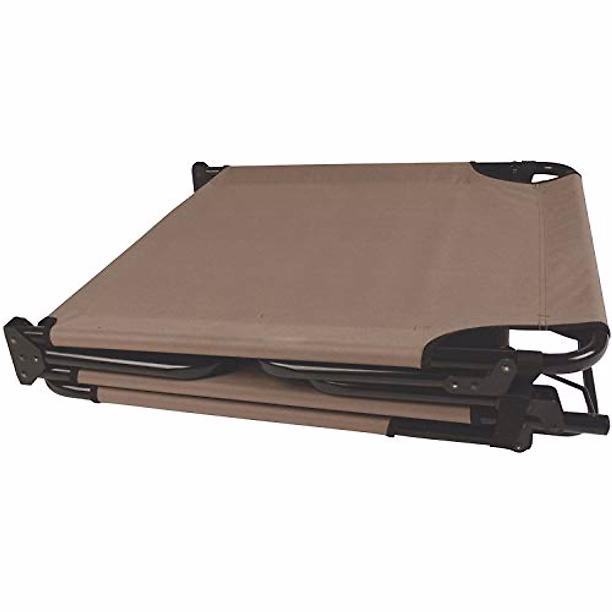 Coleman Converta Folding Cot