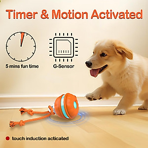 Salodal Peppy Pet Ball for Dogs, Dog Interactive Toys Dog Ball,Motion Activate Rolling Ball for Puppy/Small Dogs, Automatic Moving Dog Toy,USB Rechargeable (Dog Ball)