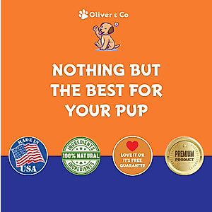 Natural Antibiotics for Dogs - Dog Antibiotics - Dog Itch Relief - Yeast Infection Treatment for Dogs - Dog Antibiotic - Dog Ear Infection Treatment - Pet Antibiotics - Antibiotic for Dogs - 1 oz