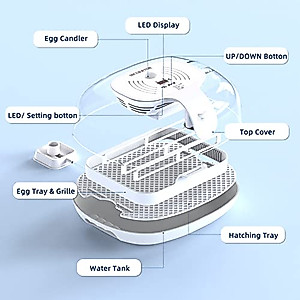 Egg Incubator, 16 Incubators for Hatching Eggs with Automatic Egg Turning, Egg Candler and Automatic Water Adding for Hatching Chickens, Ducks, Goose, Quails & 4 Wooden Eggs