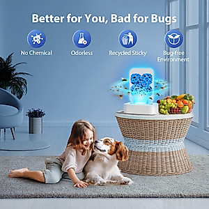 Fruit Fly Traps for Indoors, Rechargeable Gnat Traps for House Indoor with Night Light Flying Insect Catcher for Home Plants Gnats Moths Mosquitos Pest Control with Glue Cards