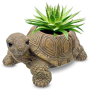 Turtle Planter for Succulents - Animal Planter for Indoor and Outdoor Plants, Turtle Pot Makes Ideal Gift for Any Turtle Lover